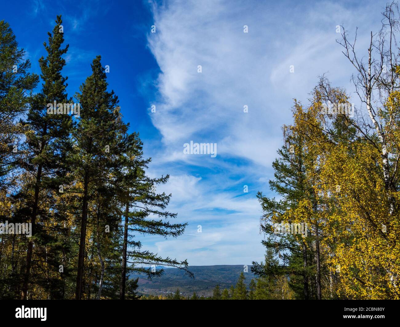 Autumn forest and blue sky with clouds Stock Photo - Alamy