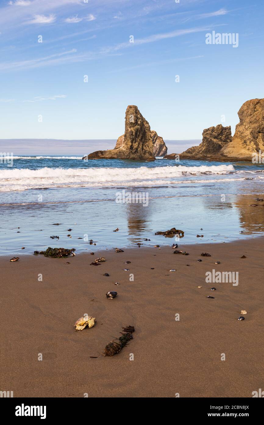 Vertical Image-Sea Stacks reflecting in the water on Bandon Beach in ...