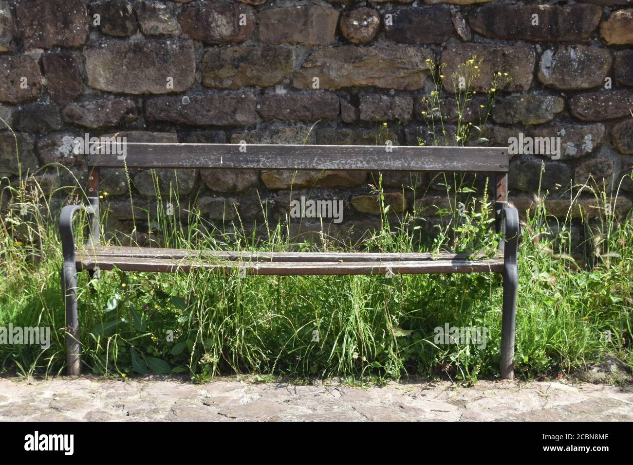 Wooden bench against a wall surrounded by green grass Stock Photo - Alamy