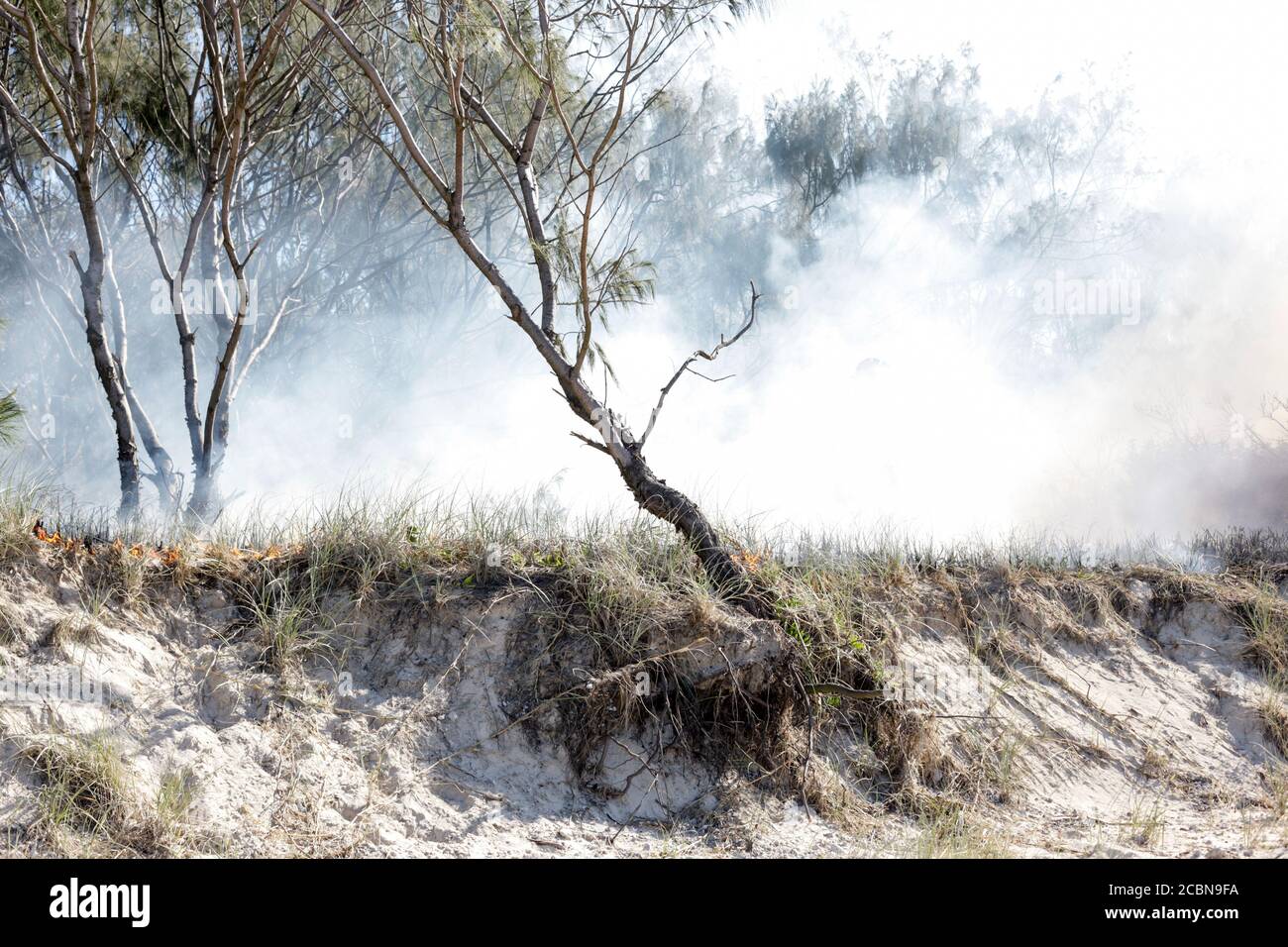 Australia bushfires in summer fire season Stock Photo - Alamy