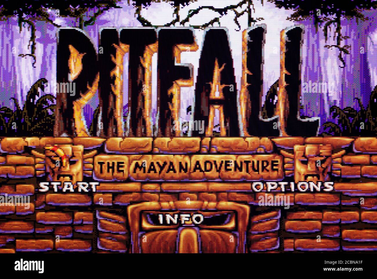 Pitfall The Mayan Adventure - Sega 32X - editorial use only Stock Photo - Alamy