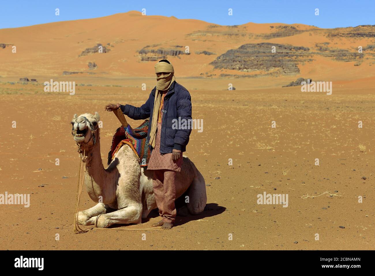 LIFE IN THE DESERT IN ALGERIA. NOMADS WITH CAMELS IN THE SAHARA Stock ...