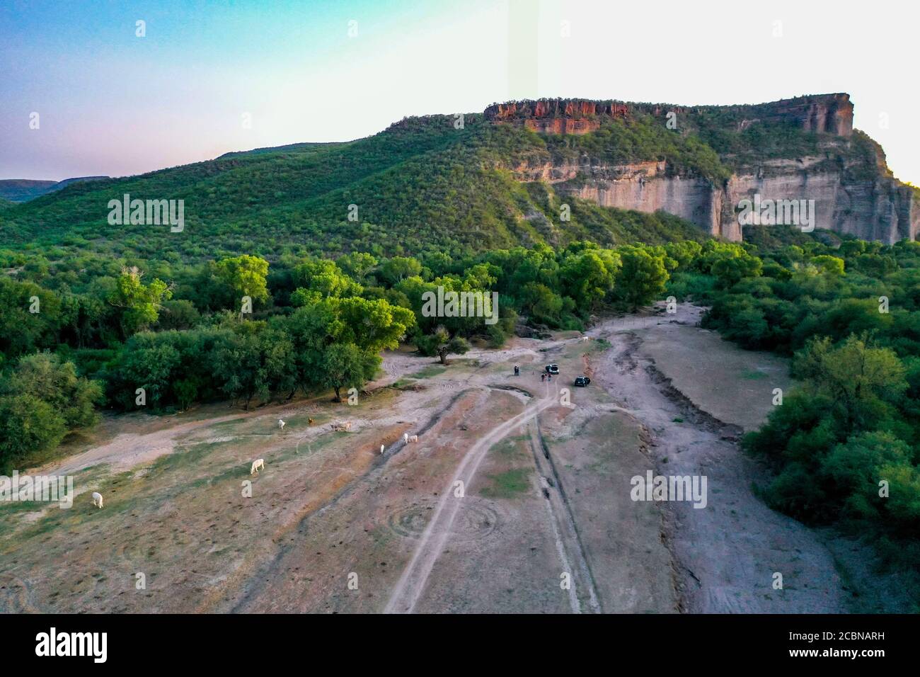 Aerial view of the hill redressed by the summer rains in Rancho el ...