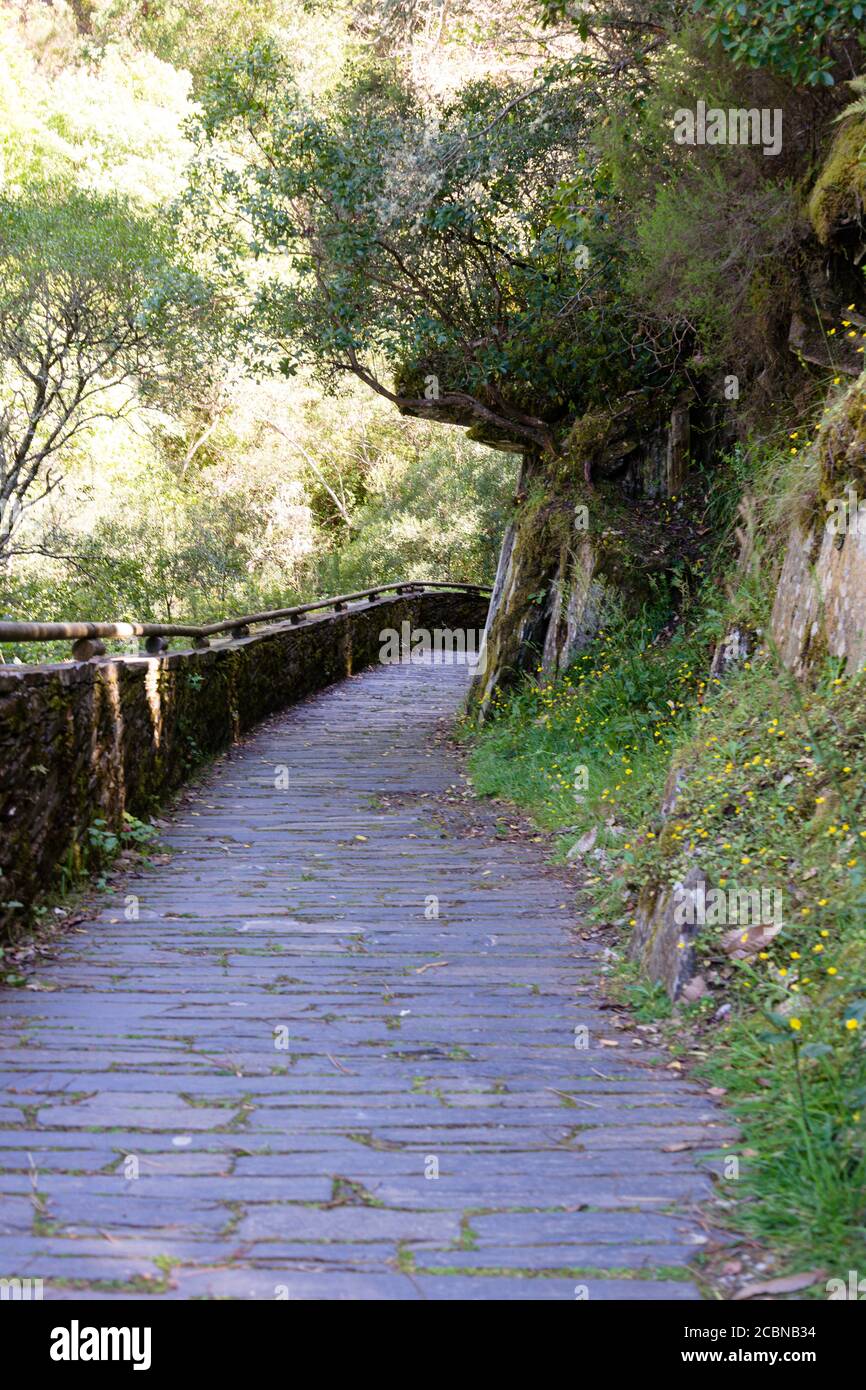 Shot bushes rocks surrounded hi-res stock photography and images - Alamy
