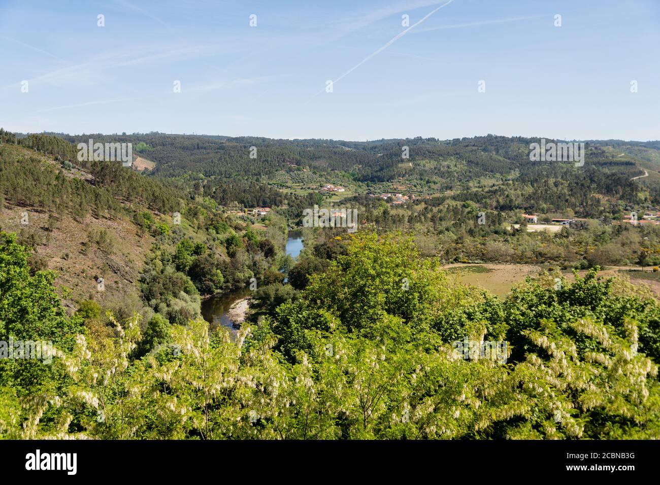 Landscape shot of a town covered in trees Stock Photo - Alamy