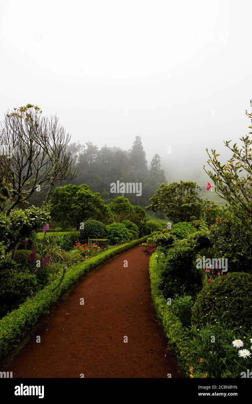 Vertical shot of a pathway in a magical botanical garden Stock Photo ...