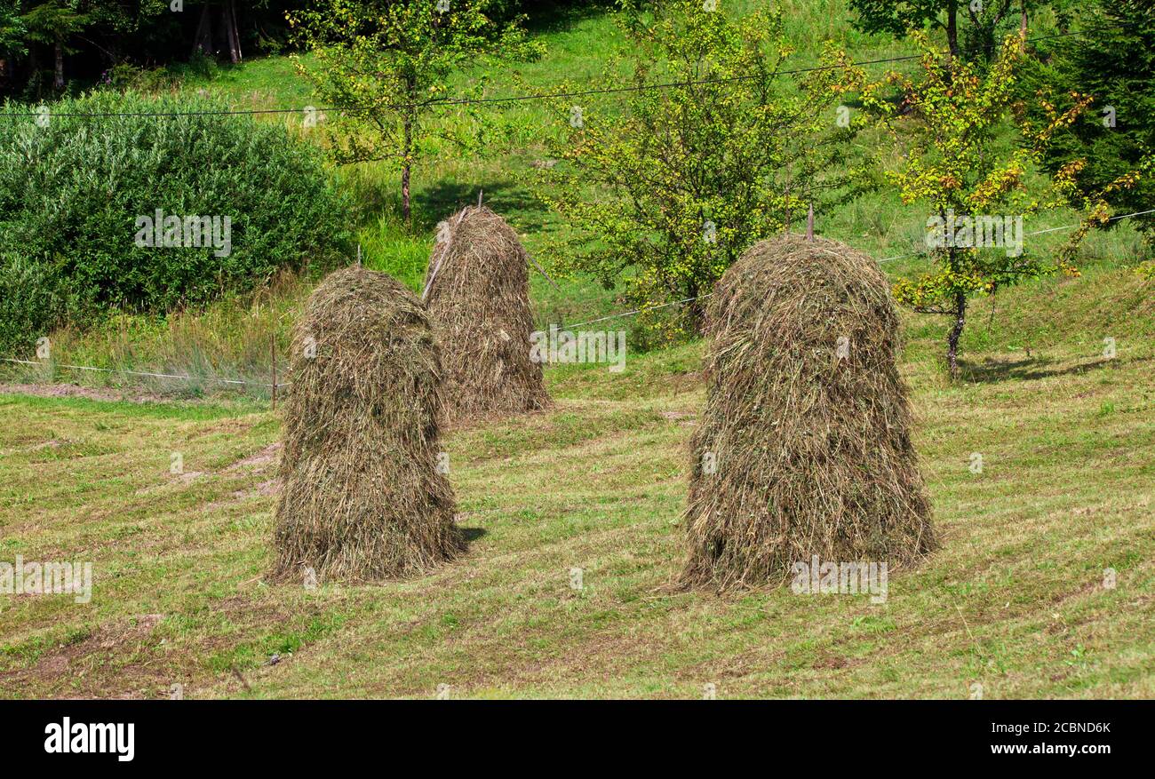 stacks of hay in rural Romania, traditional village working Stock Photo ...