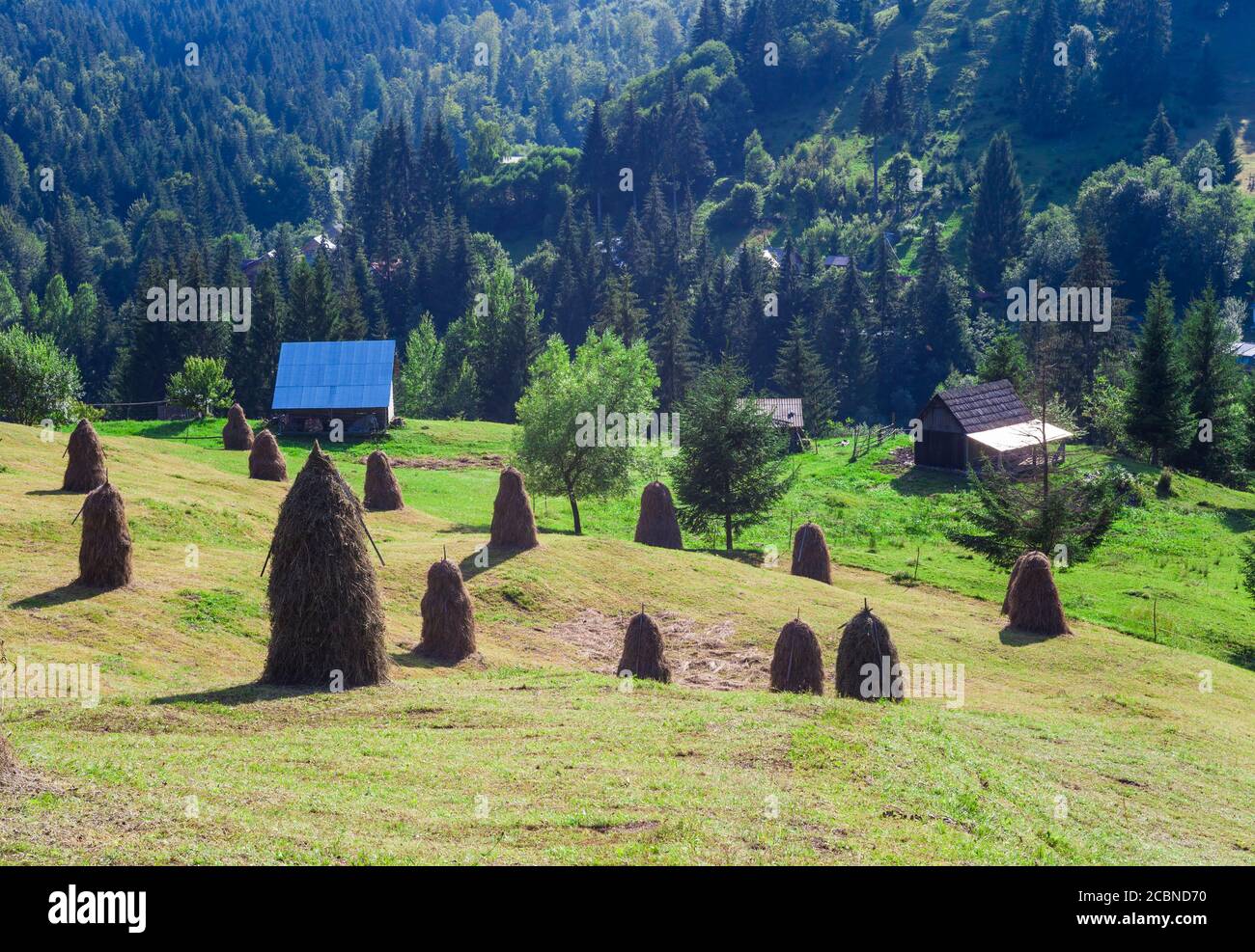 Harvesting crop,romania hi-res stock photography and images - Alamy