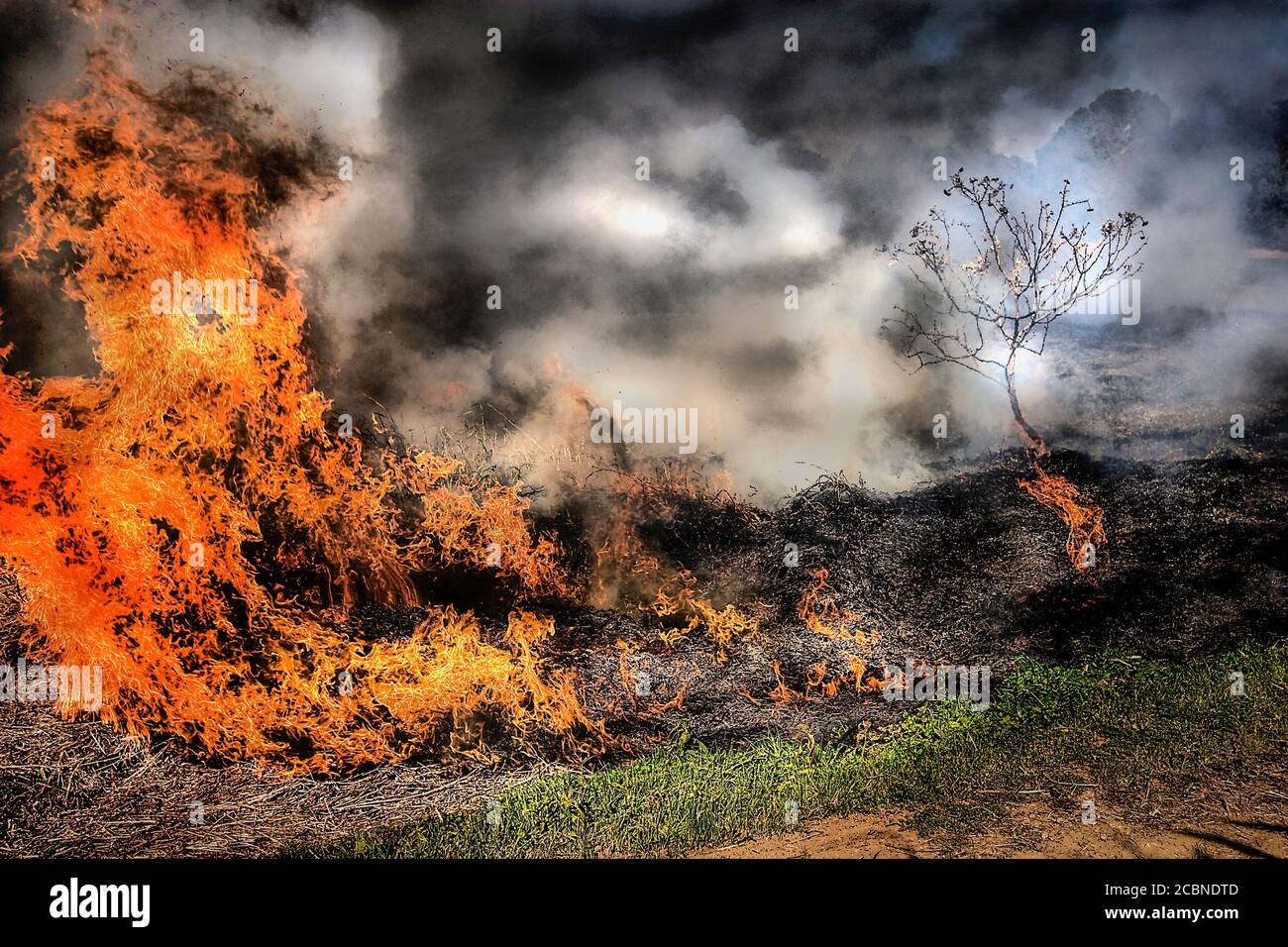 Burning nature. Bushfires in Australia Stock Photo - Alamy
