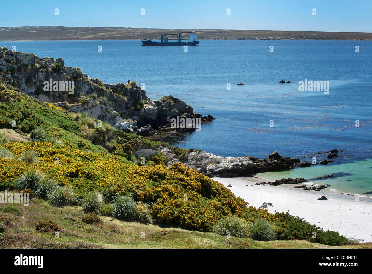 Gypsy Cove and Yorke Bay, Port Stanley, Falkland Islands (Islas ...