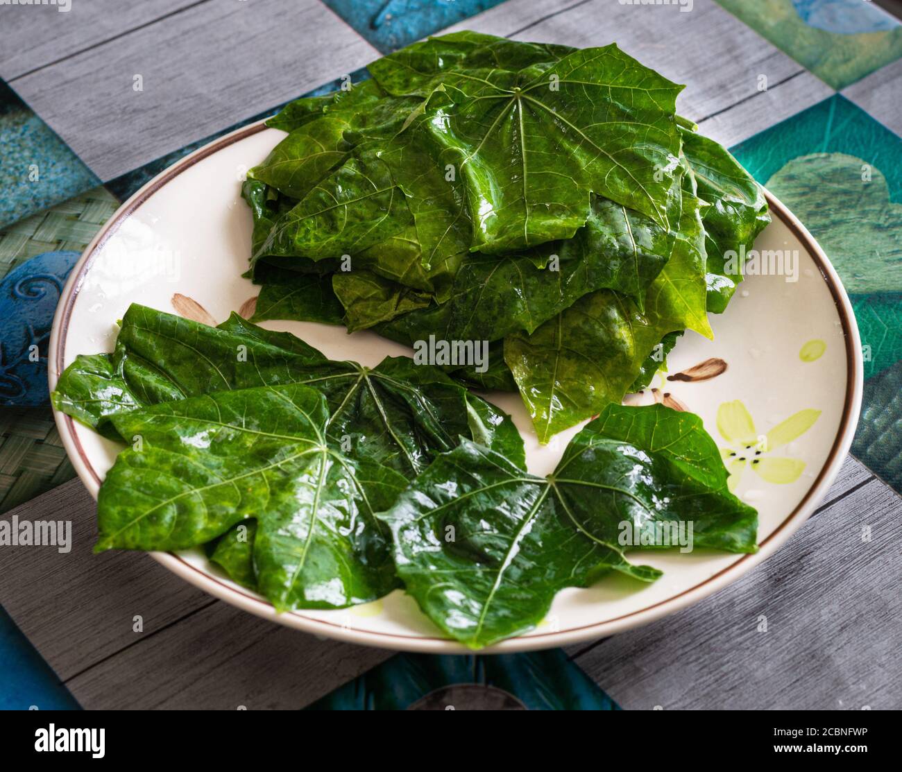 Green chaya leaves tropical hi-res stock photography and images - Alamy