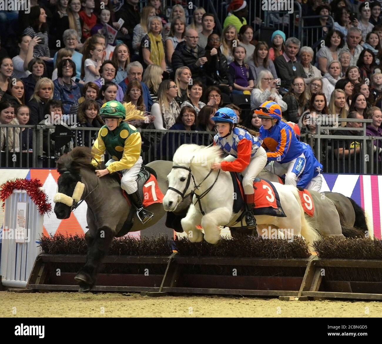 Shetland racing hi-res stock photography and images - Alamy