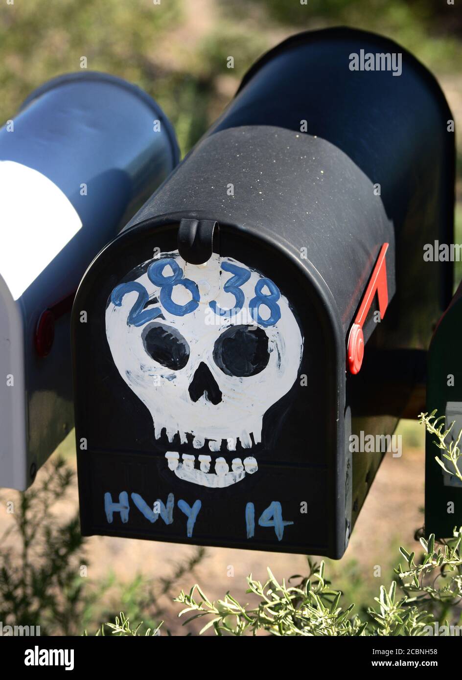 The owner of a mailbox in rural New Mexico painted a skull on the lid ...