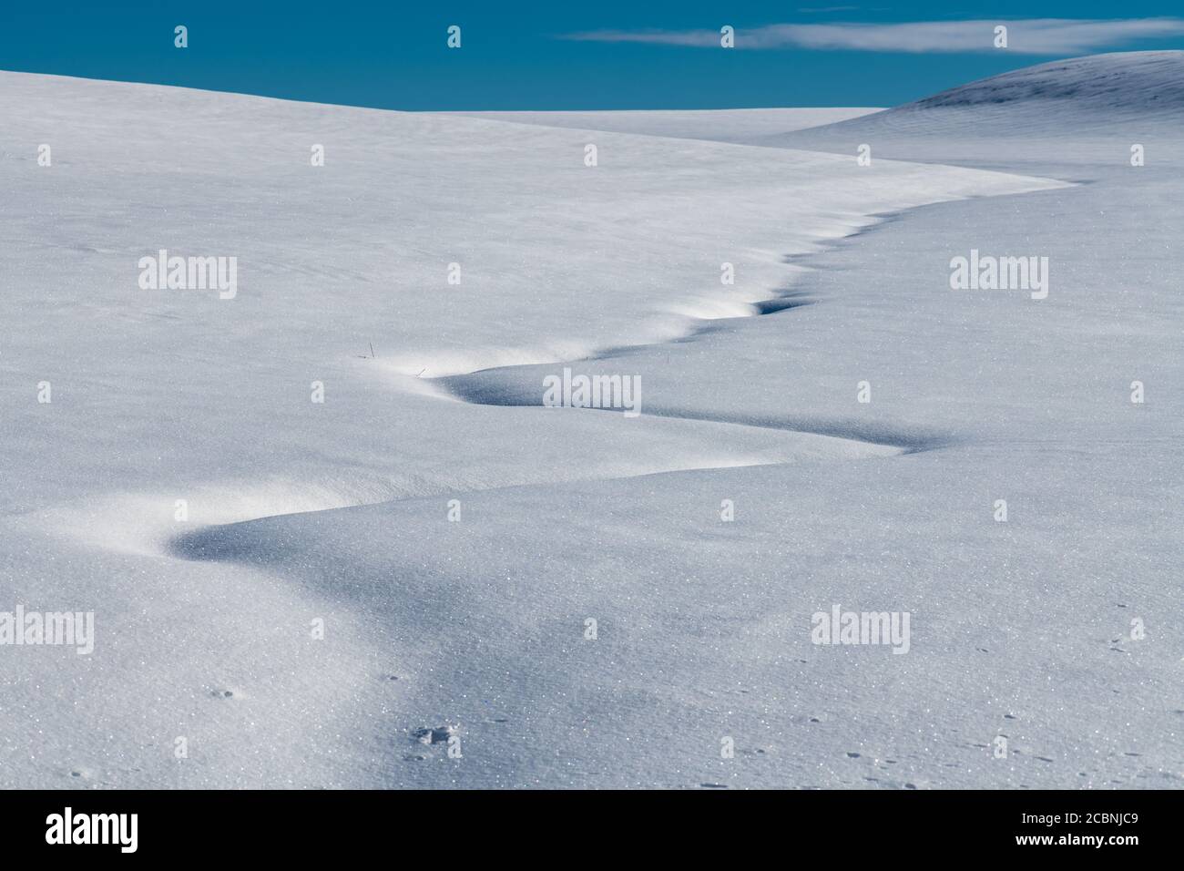 Winter Landscape in the Palouse, WA Stock Photo - Alamy