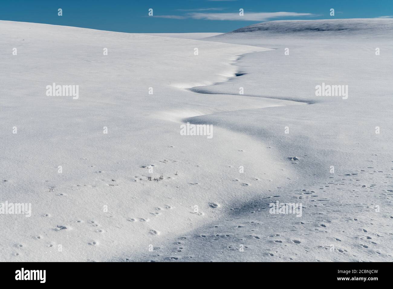 Winter Landscape in the Palouse, WA Stock Photo - Alamy