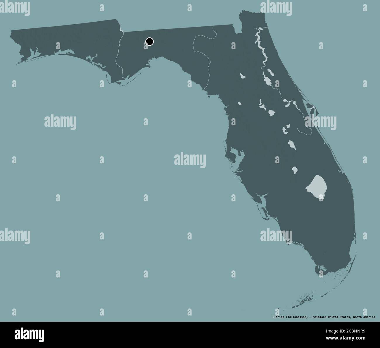 Shape of Florida, state of Mainland United States, with its capital ...
