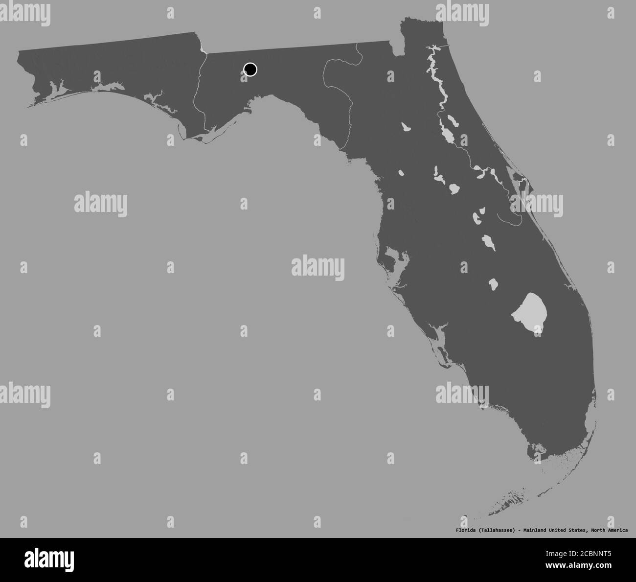 Shape of Florida, state of Mainland United States, with its capital ...