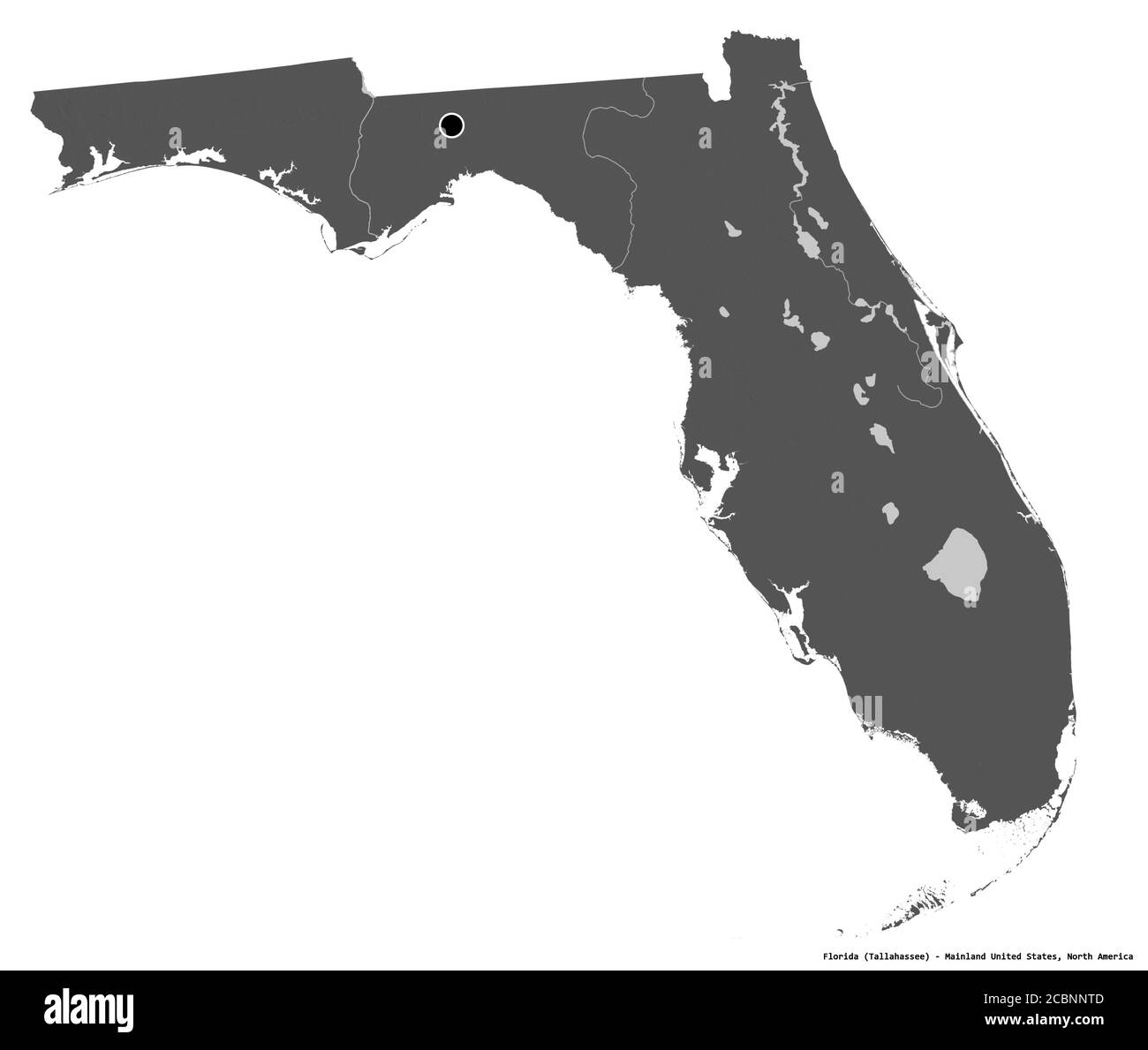 Shape of Florida, state of Mainland United States, with its capital ...