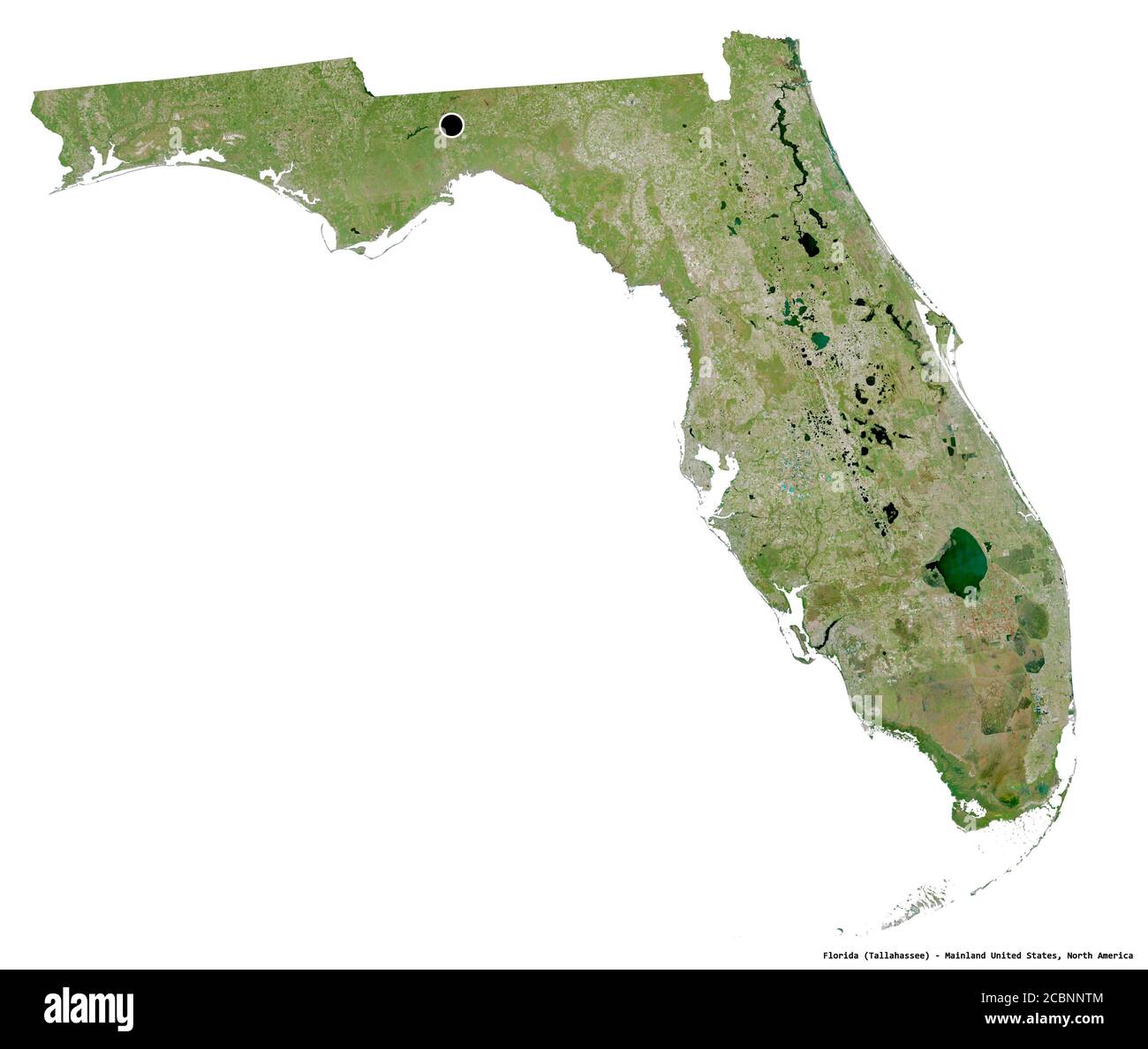 Shape of Florida, state of Mainland United States, with its capital ...