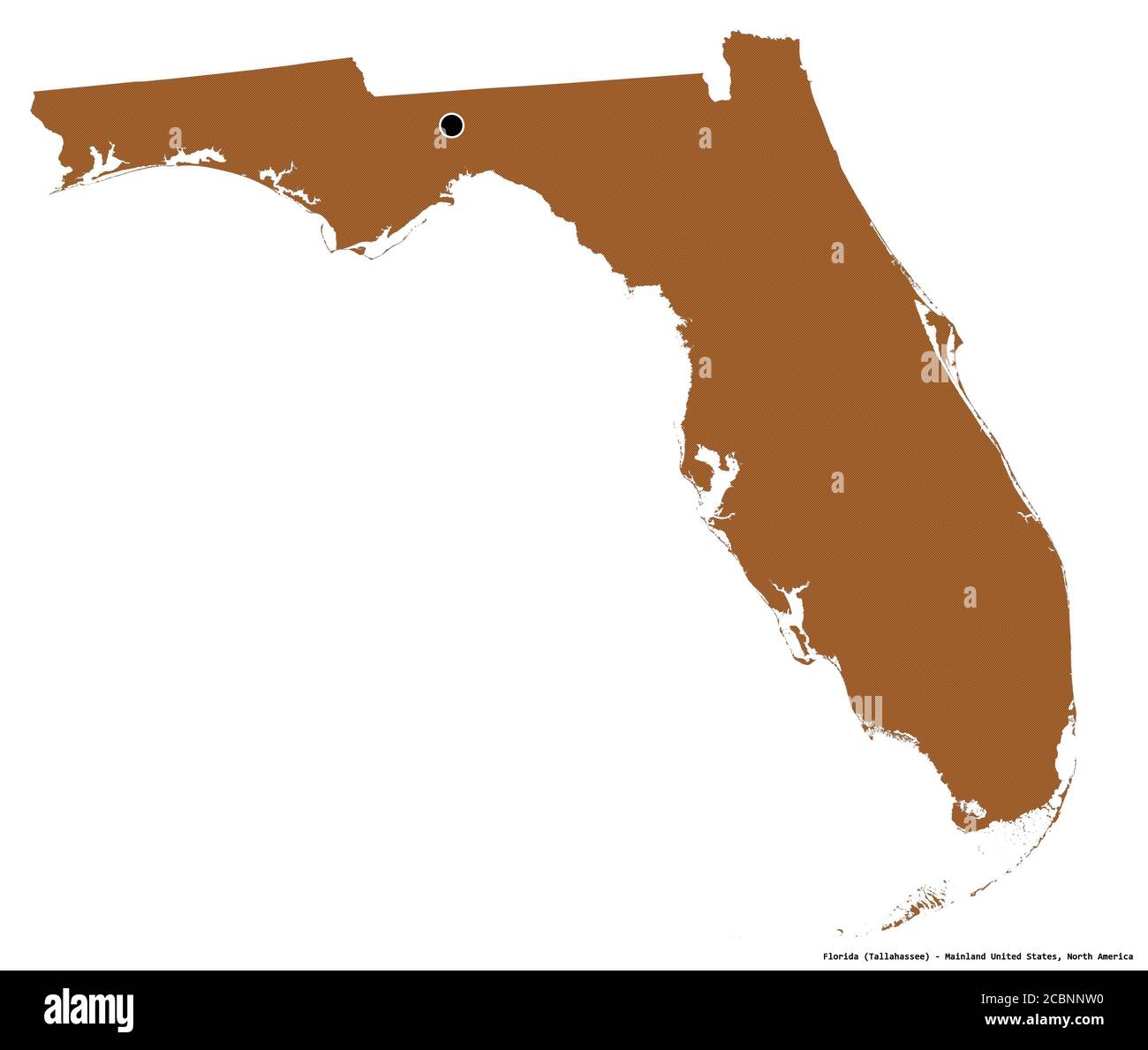 Shape of Florida, state of Mainland United States, with its capital ...
