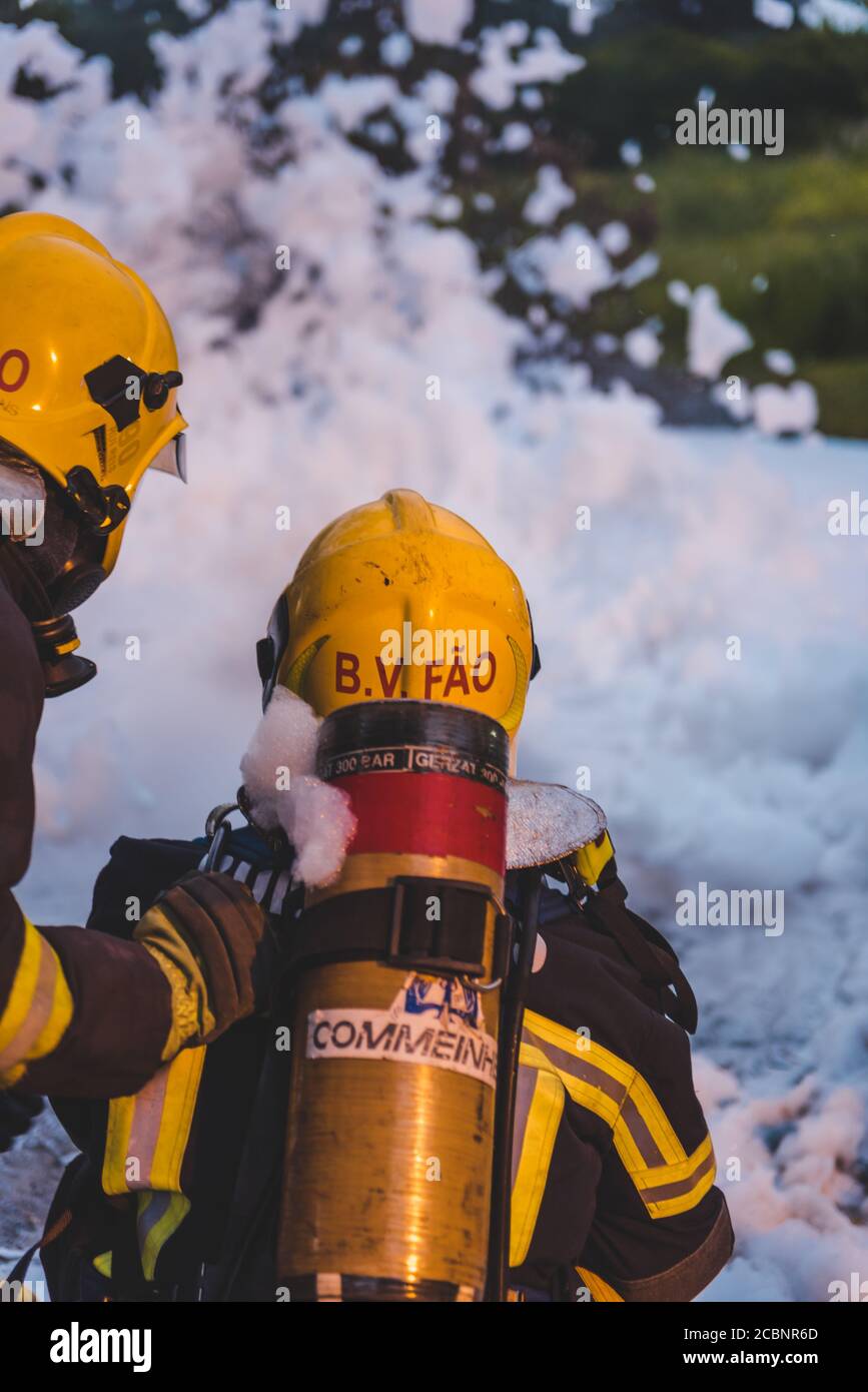 A vertical shot of firefighters with oxygen cylinder in the forest ...