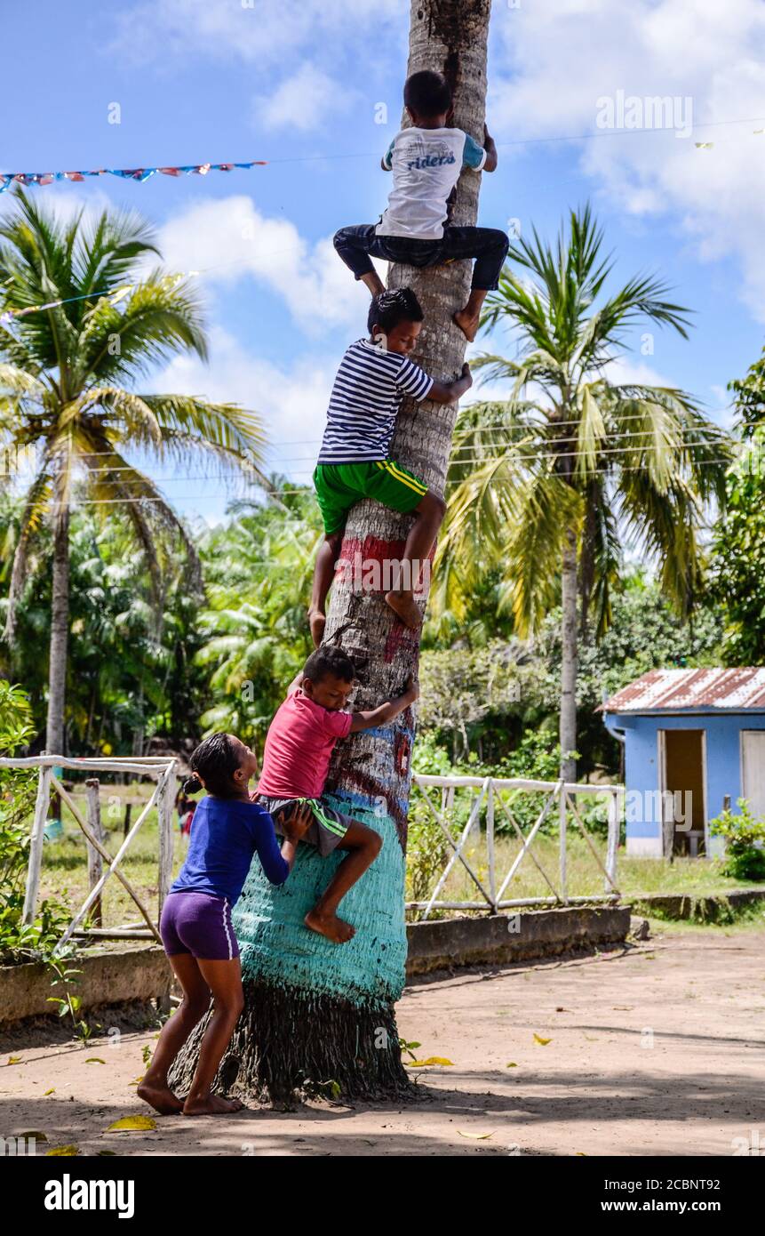 Palm sisters hi-res stock photography and images - Alamy