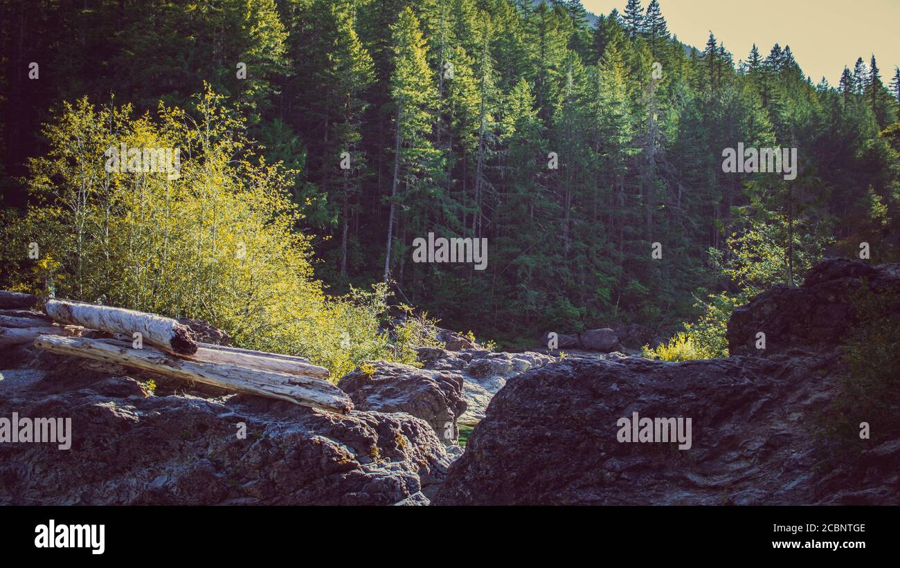 Three Pools on the North Fork of the Santiam River, picnic site make ...