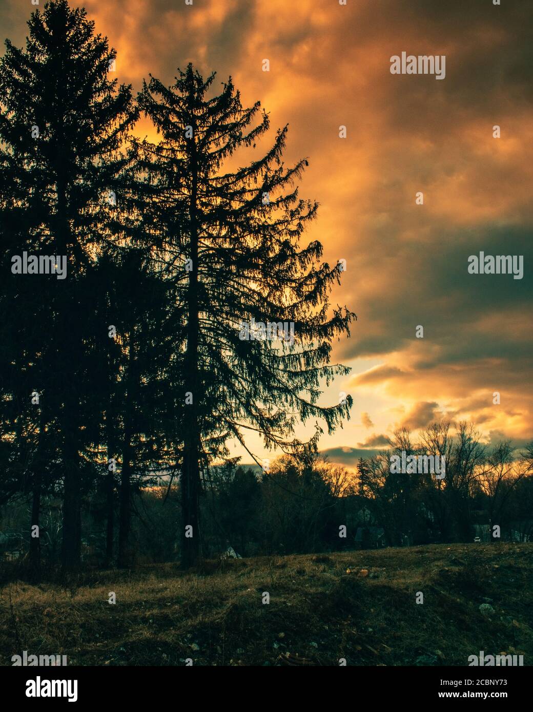 Fire red dawn sky forest hi-res stock photography and images - Alamy