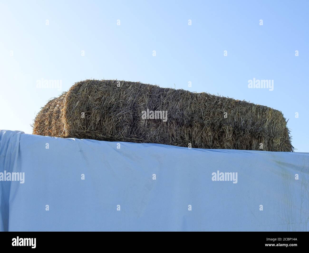 Hay stacked on a construction covered by white textile Stock Photo - Alamy