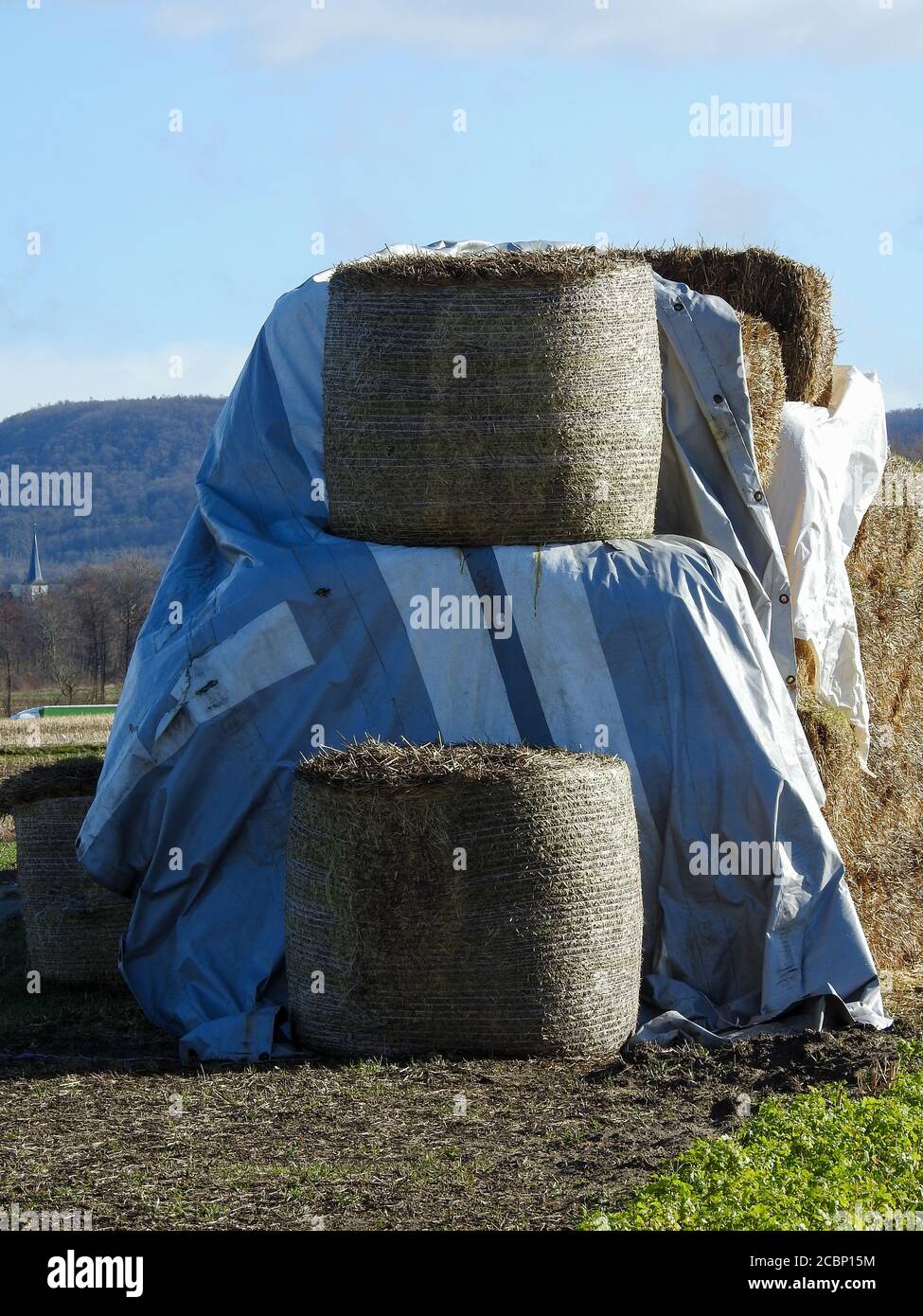 Group hay rolls in hi-res stock photography and images - Alamy