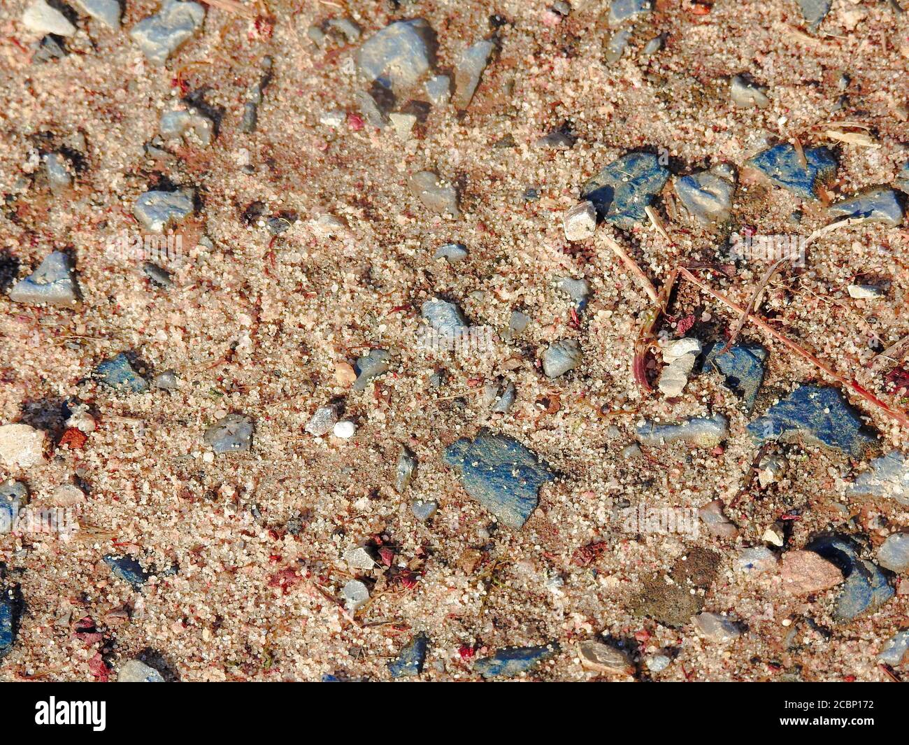 Black dug hi-res stock photography and images - Alamy