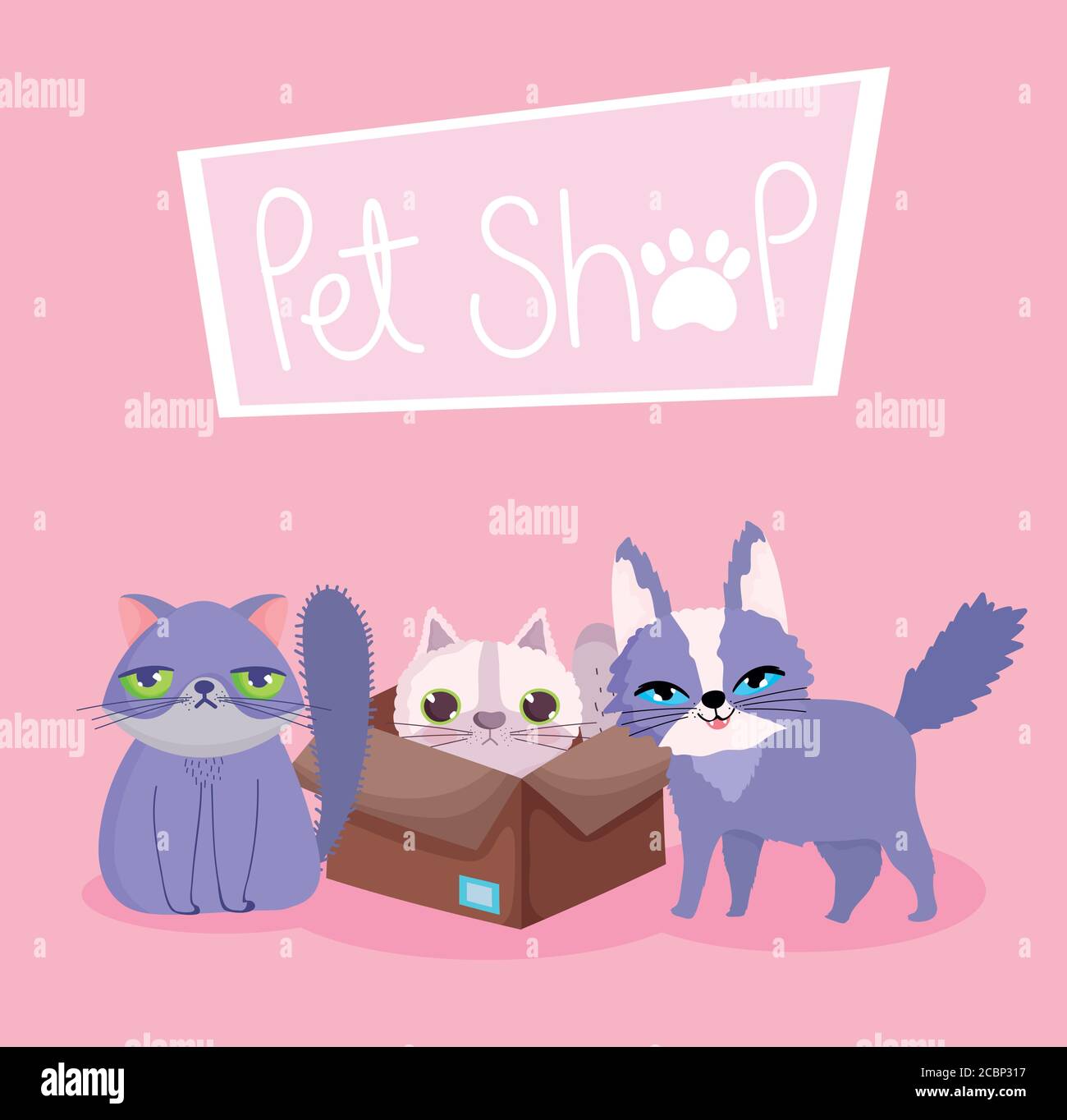 pet shop, ugly and fluffy cats in box animal domestic cartoon vector ...