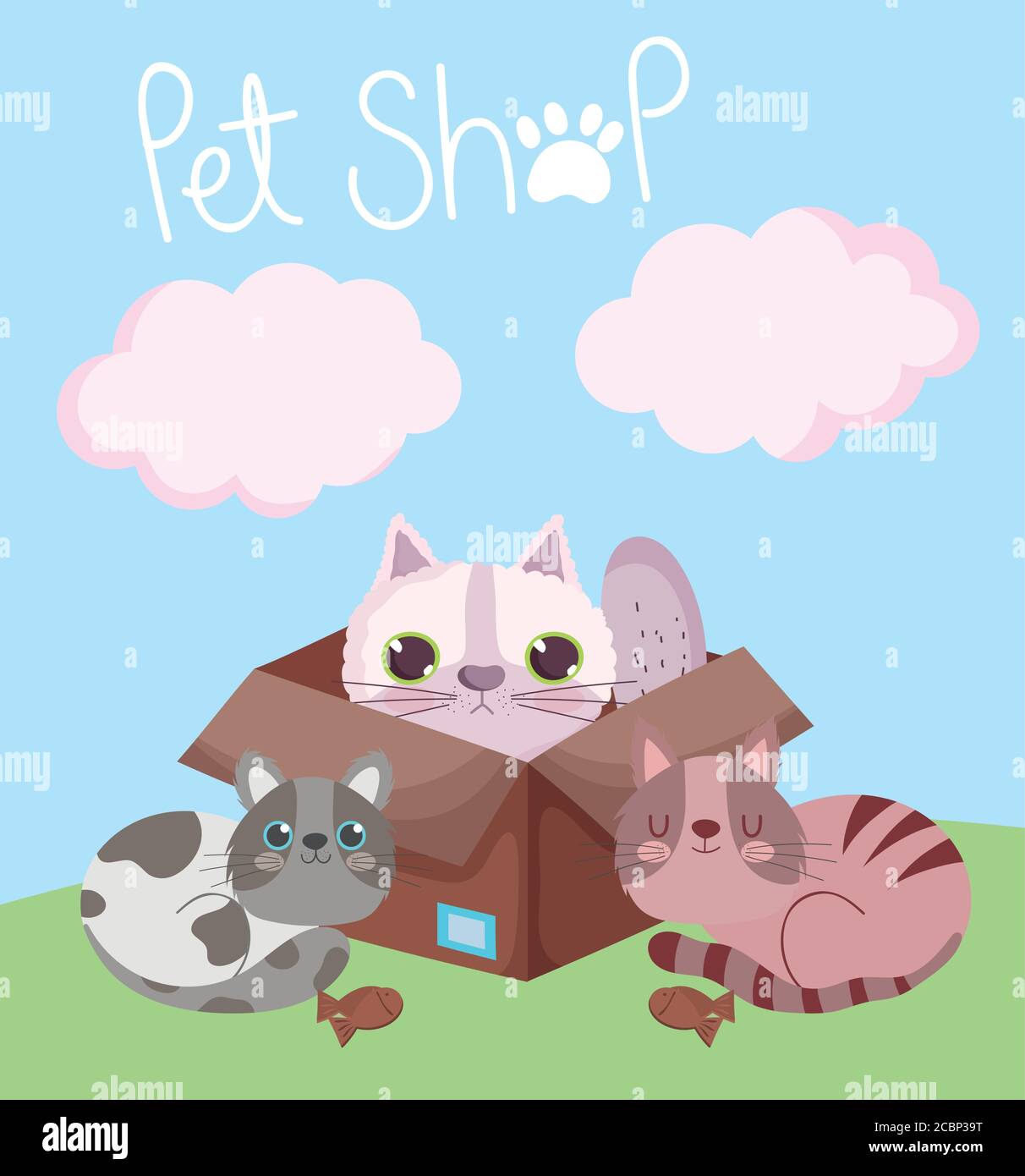 pet shop, cat in cardboard box and kittens with cookie fishes animal ...