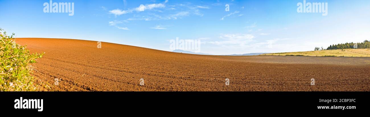 Agricultural land with unique red ground Stock Photo - Alamy