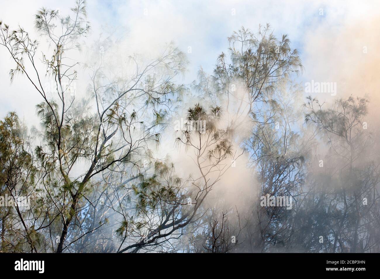 Australia bushfires. Dramatic image from massive fires in Australia ...