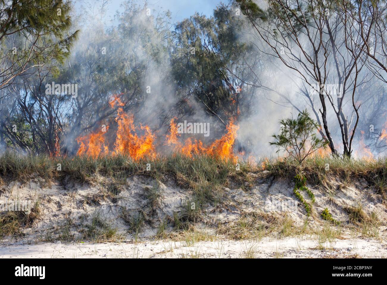 Australia bushfires. Dramatic image from massive fires in Australia ...