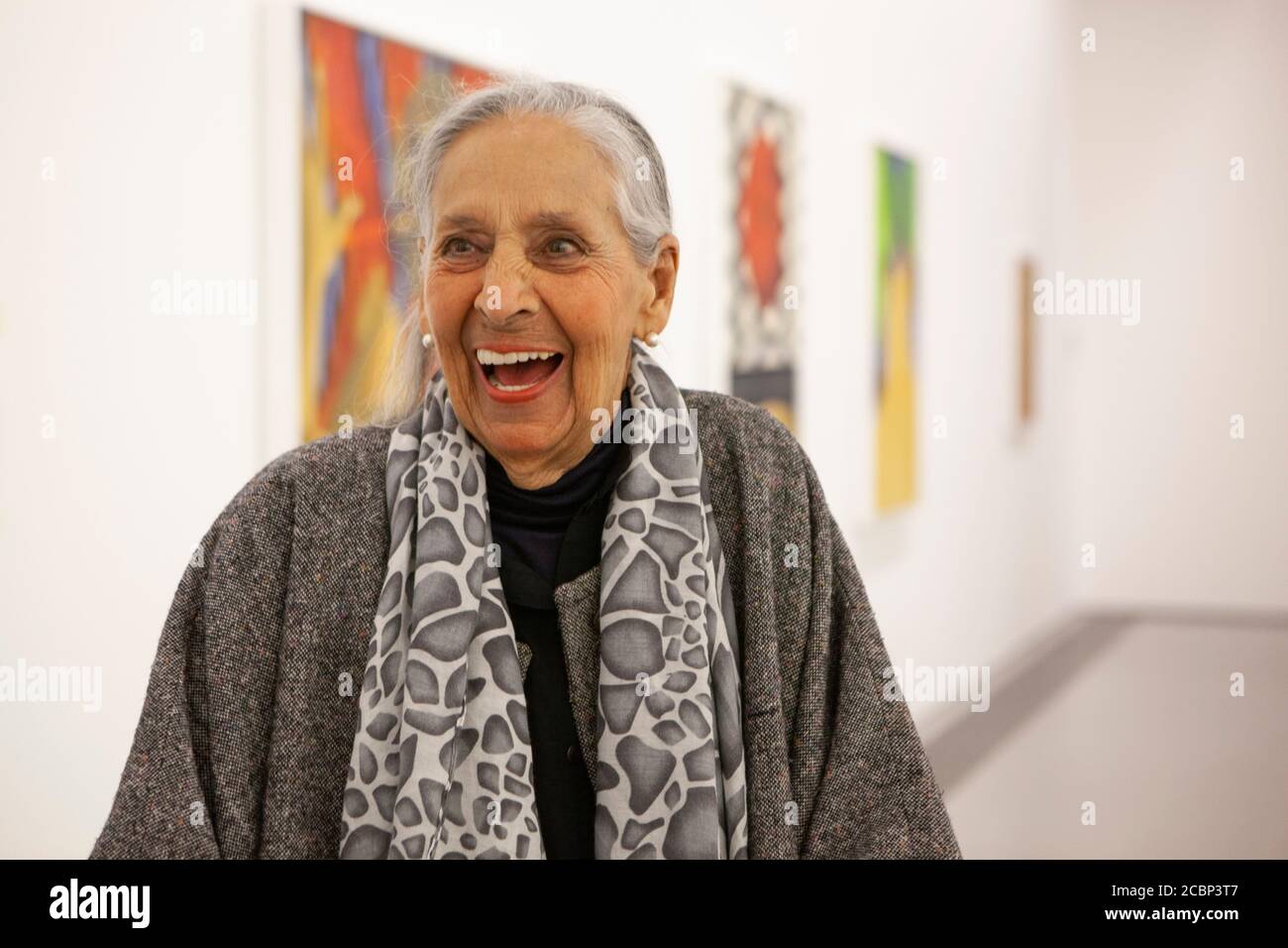 Artist retrospective hi-res stock photography and images - Alamy