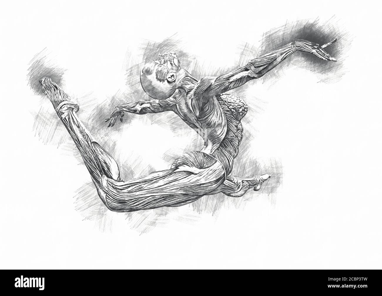 muscle woman doing a gymnastic jump pose in sketcher styler, 3d ...