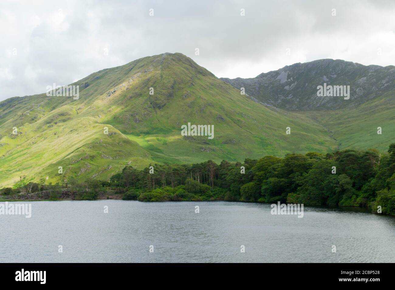 Lush green mountain hi-res stock photography and images - Alamy