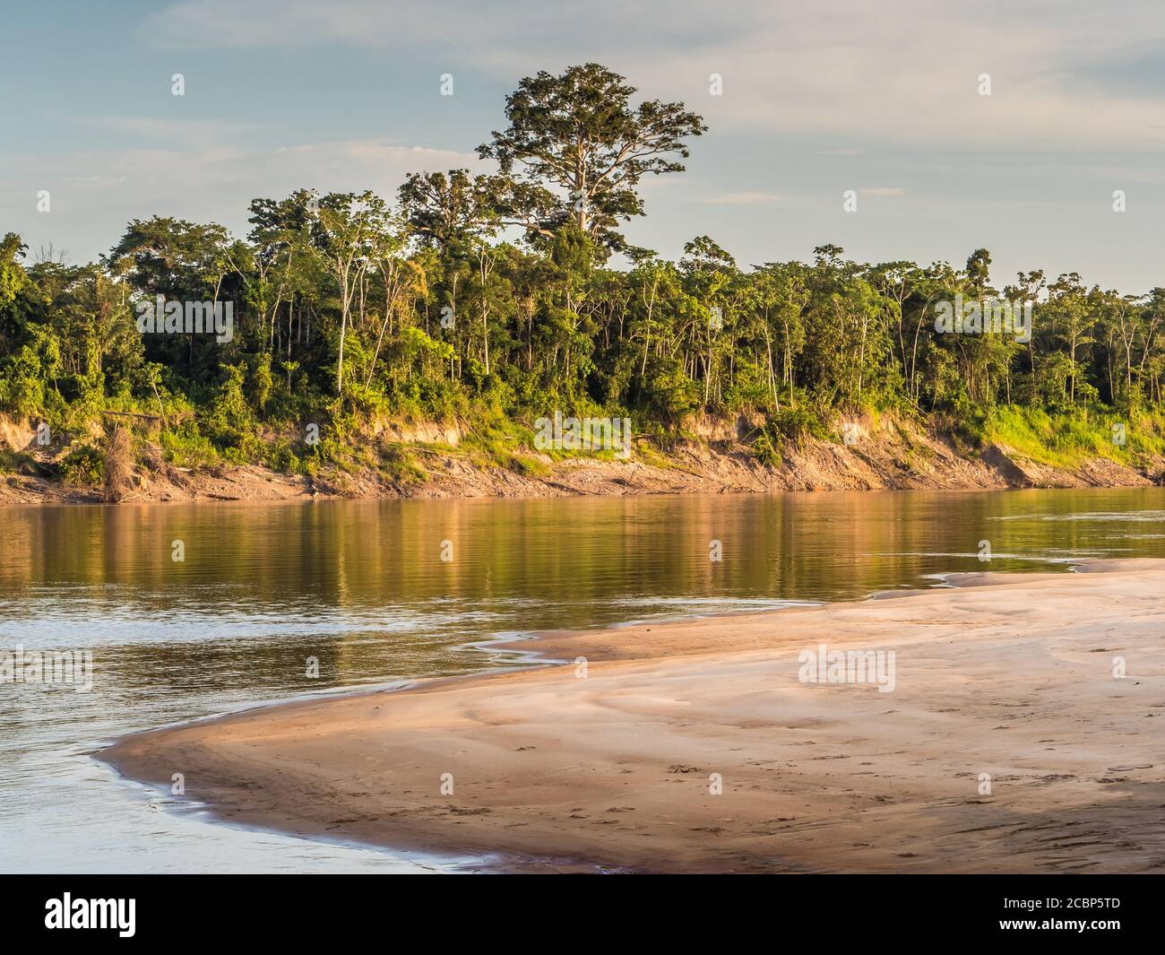 Amazon rainforest clay hi-res stock photography and images - Alamy