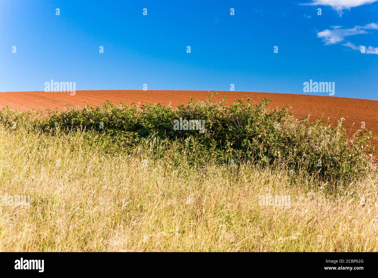 Beautiful Country Farm Land