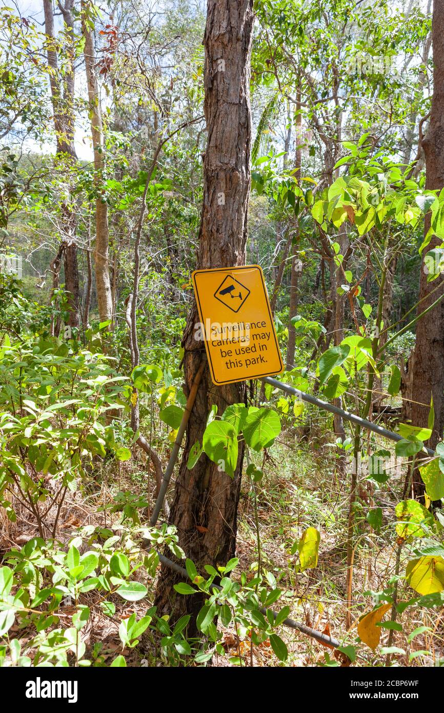 A warning sign hanged on the forest tree, saying - Surveillance camera ...