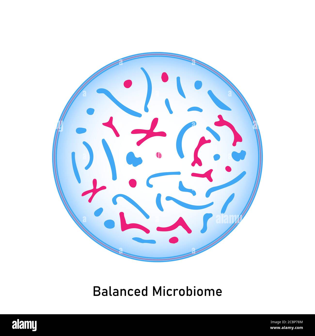 Microorganisms Good Bacteria