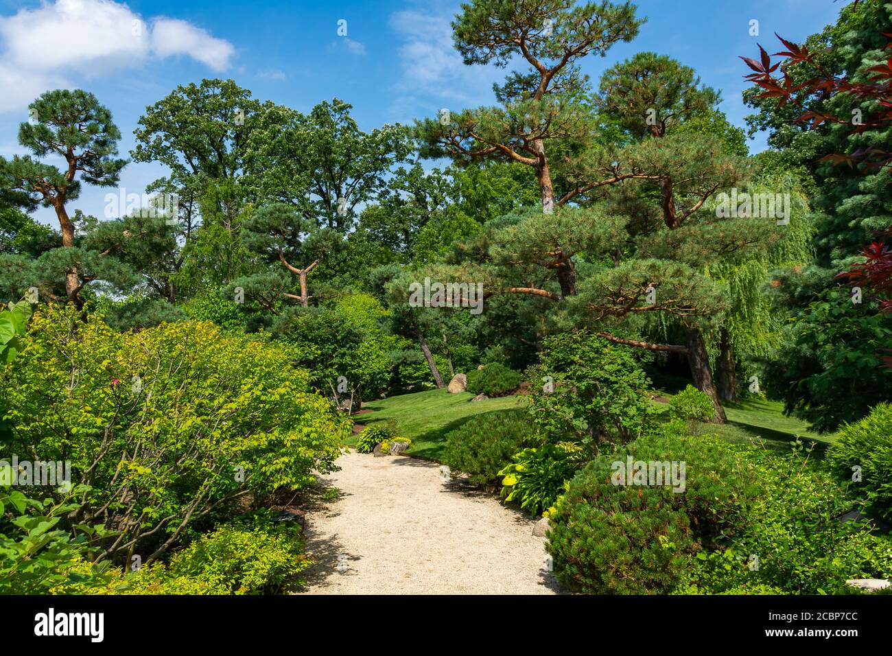 Dirt path through the Japanese Garden on a beautiful Summer morning ...