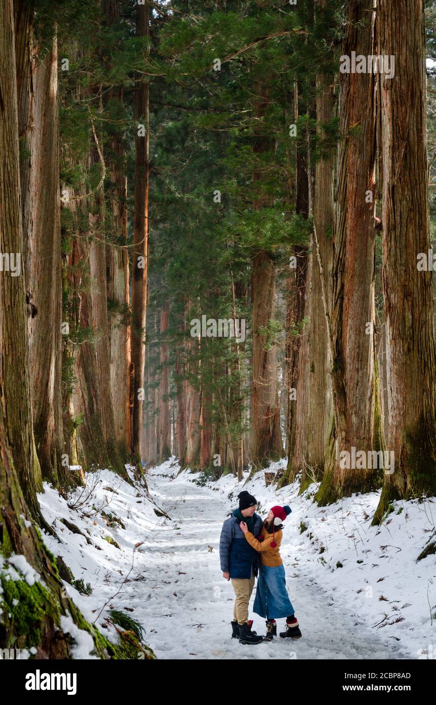 couple posing with Giant Cedar Trees in natural forest with snow and ...