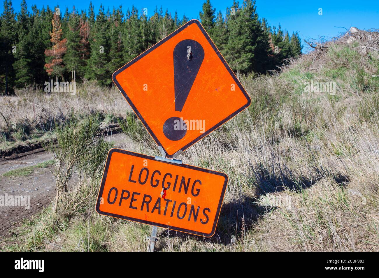 New Zealand Countryside Scenes: iconic road-signs and warnings Stock ...