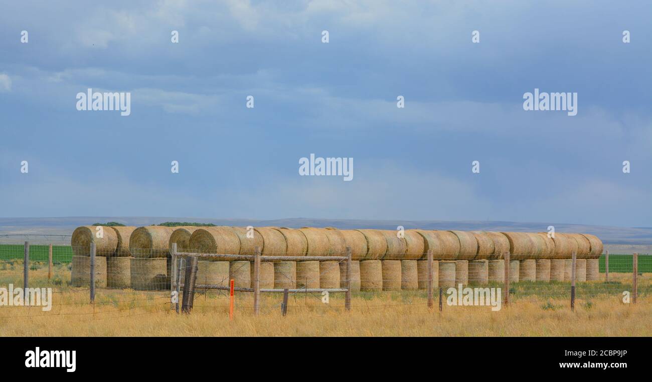 Bulk hay stacked and ready for the farmers to feed their livestock in ...