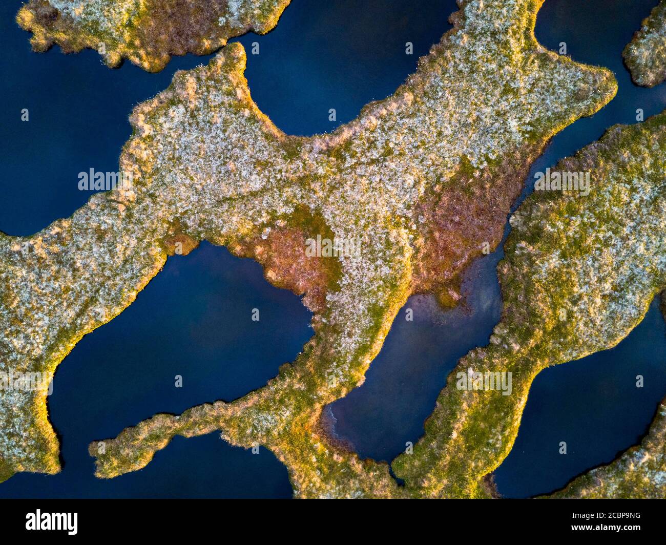Scandinavian wetland hi-res stock photography and images - Alamy