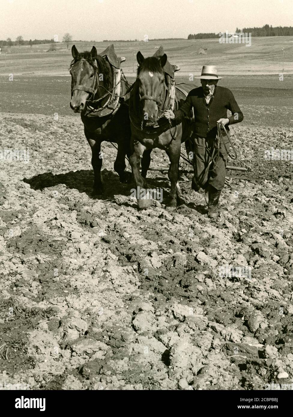 Horses with harrow hi-res stock photography and images - Alamy