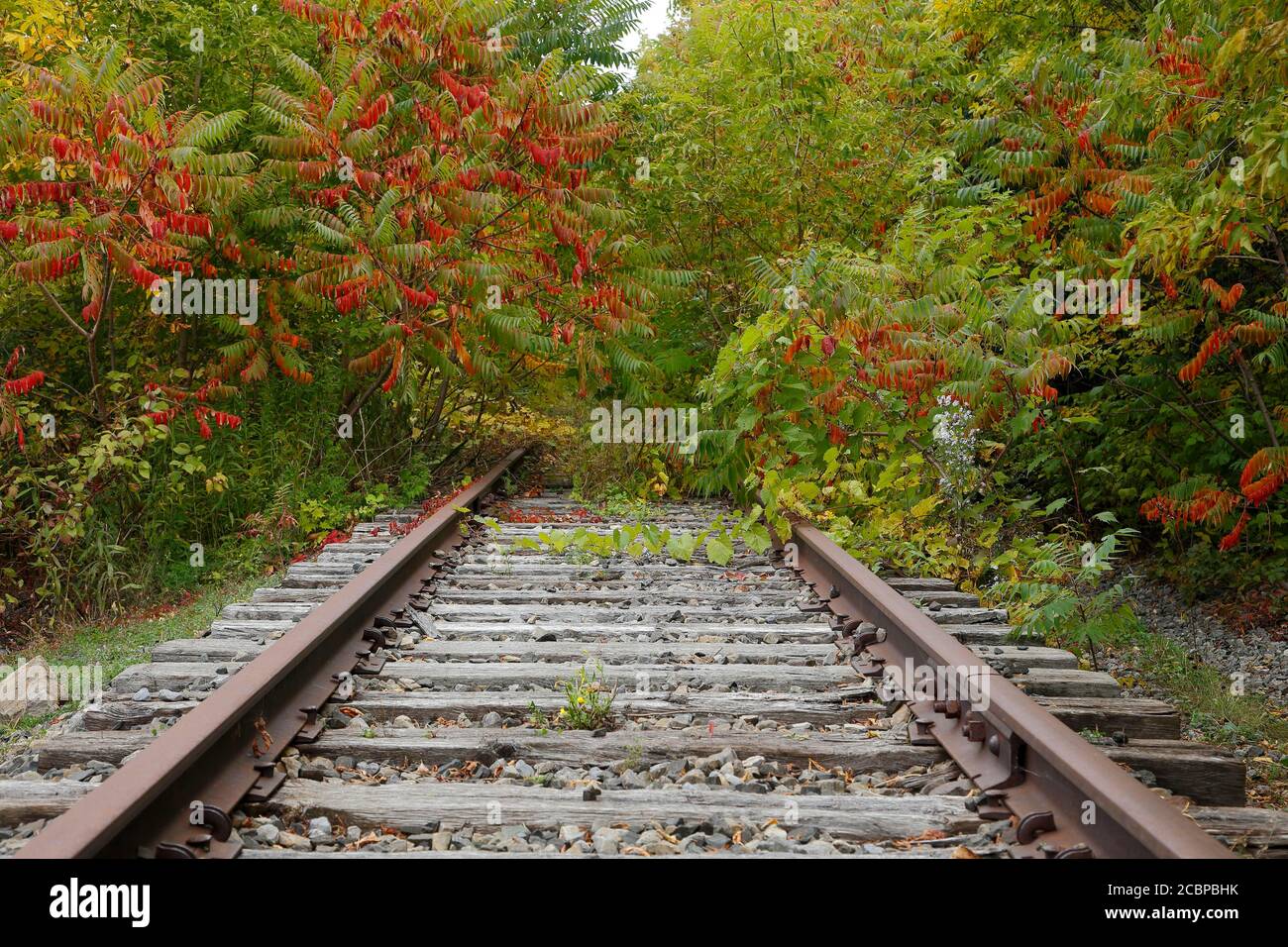 Disused railway tracks hi-res stock photography and images - Alamy